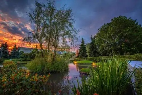 Beautiful Courtyard Construction Class: How to Plant Perennial ...