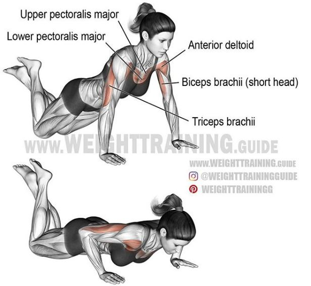 Comprehensive muscle training diagrams – say goodbye to haphazard ...