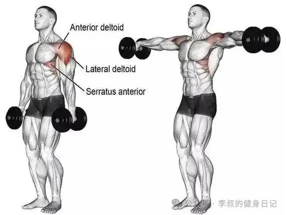 Gym Beginner's Guide Shoulder Training - SO2X