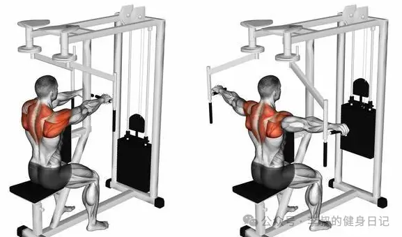 Gym Beginner's Guide Shoulder Training - SO2X