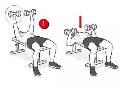 Gym [Animated Tutorial] | Men's Chest Muscle Training Guide - SO2X