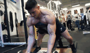 The ultimate arm workout tutorial is here! 6 exercises to tear your arm ...