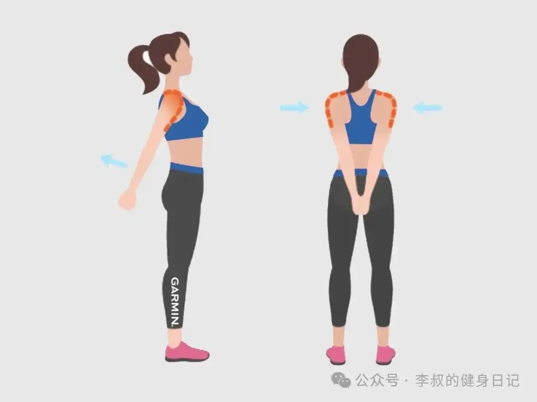 Gym Beginner's Guide Shoulder Training - SO2X