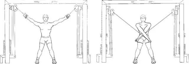 Gym [Animated Tutorial] | Men's Chest Muscle Training Guide - SO2X
