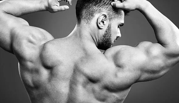 The ultimate arm workout tutorial is here! 6 exercises to tear your arm ...