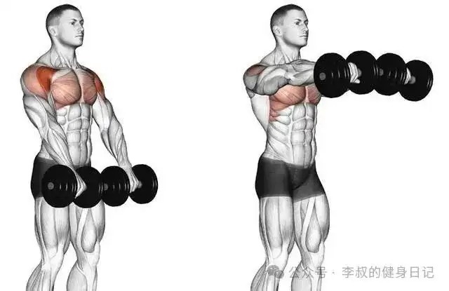 Gym Beginner's Guide Shoulder Training - SO2X