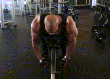 How to use dumbbells to work all the muscles in your body? [GIF ...