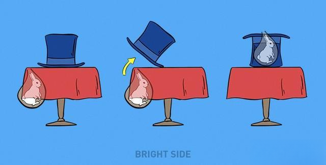 10 common magic tricks revealed – the principles are actually quite ...